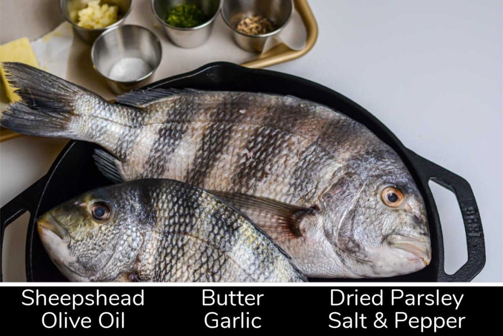 Grilled Sheepshead With Garlic Butter - Kitchen Laughter